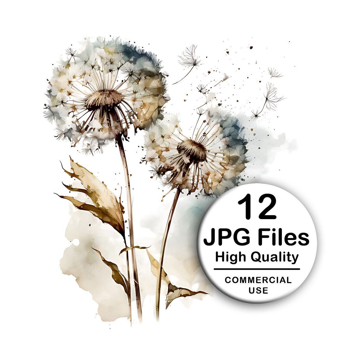 Dandelions Clipart - Set of 12 High Quality JPG - Decoupage, Wall Art ...