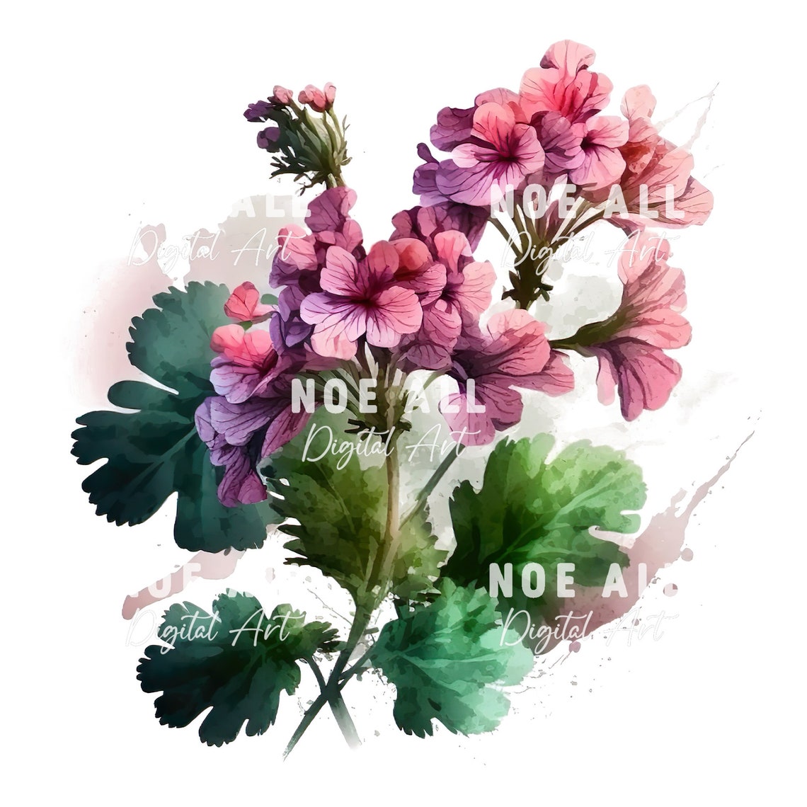 Geranium Clipart Set of 12 High Quality Jpgs Wall Art - Etsy