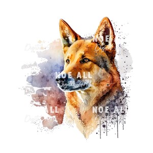 American Dingo Clipart Set 12 High Quality JPG Decoupage, Wall Art ...