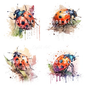 Ladybug Clipart - Set of 12 High Quality JPG - Decoupage, Wall Art ...