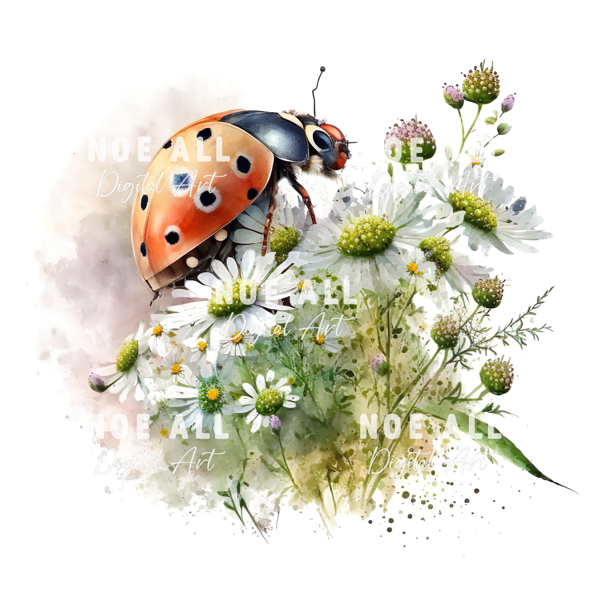 Ladybug, Wildflowers Clipart Set 12 High Quality JPG Decoupage, Wall ...