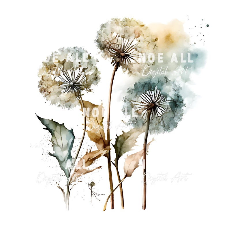 Dandelions Clipart - Set of 12 High Quality JPG - Decoupage, Wall Art ...