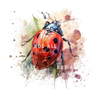 Ladybug Clipart - Set of 12 High Quality JPG - Decoupage, Wall Art ...