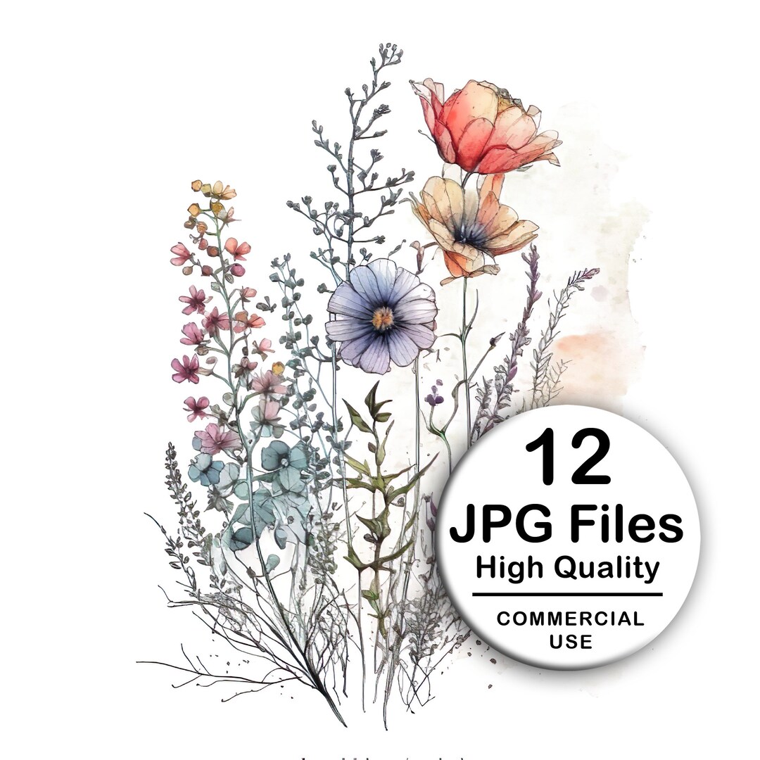 Wildflowers Clipart - Set 12 High Quality JPG - Decoupage, Wall Art ...