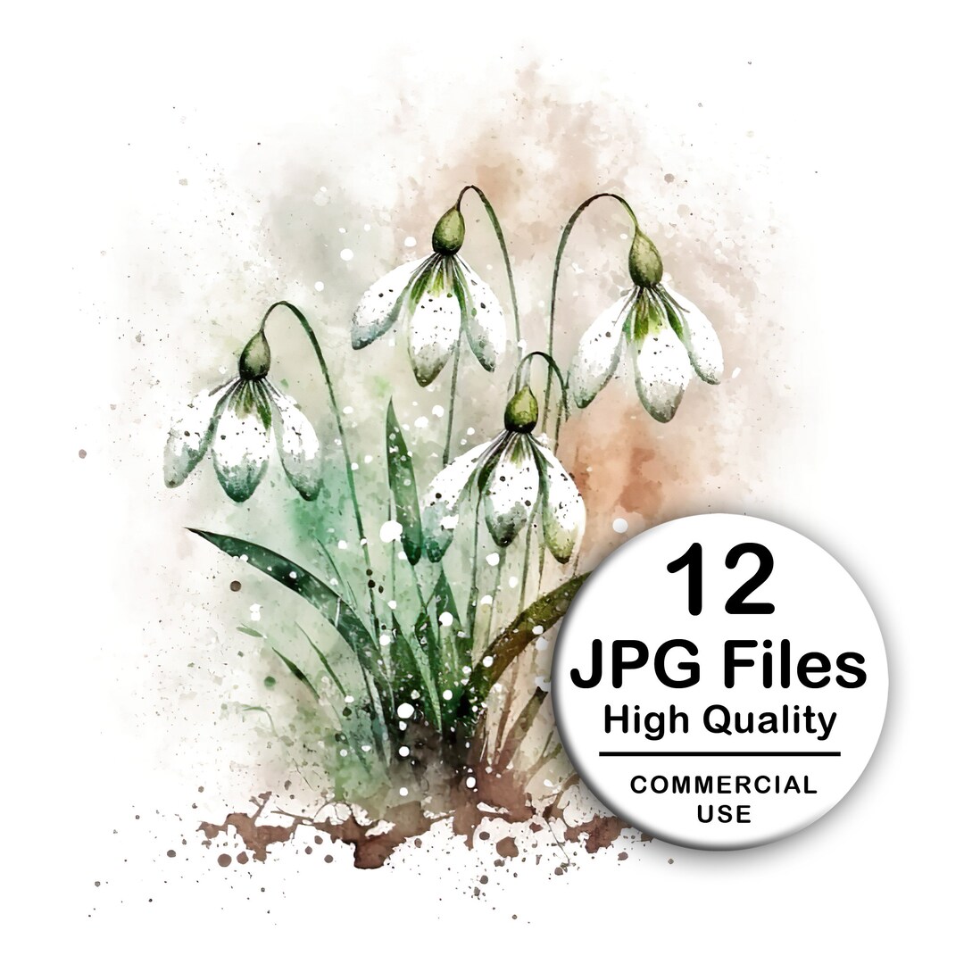 Snowdrop Clipart - Set 12 High Quality JPG - Decoupage, Wall Art ...