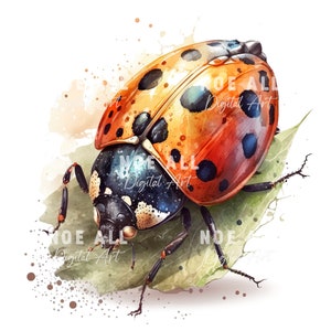 Ladybug Clipart - Set of 12 High Quality JPG - Decoupage, Wall Art ...