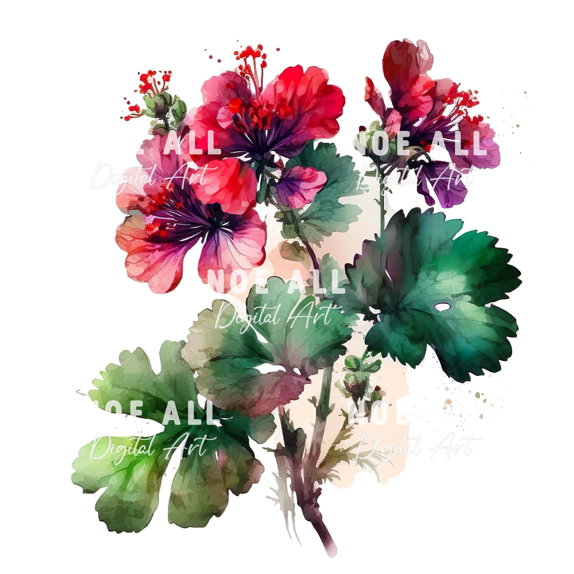 Geranium Clipart Set of 12 High Quality JPG Decoupage, Wall Art ...