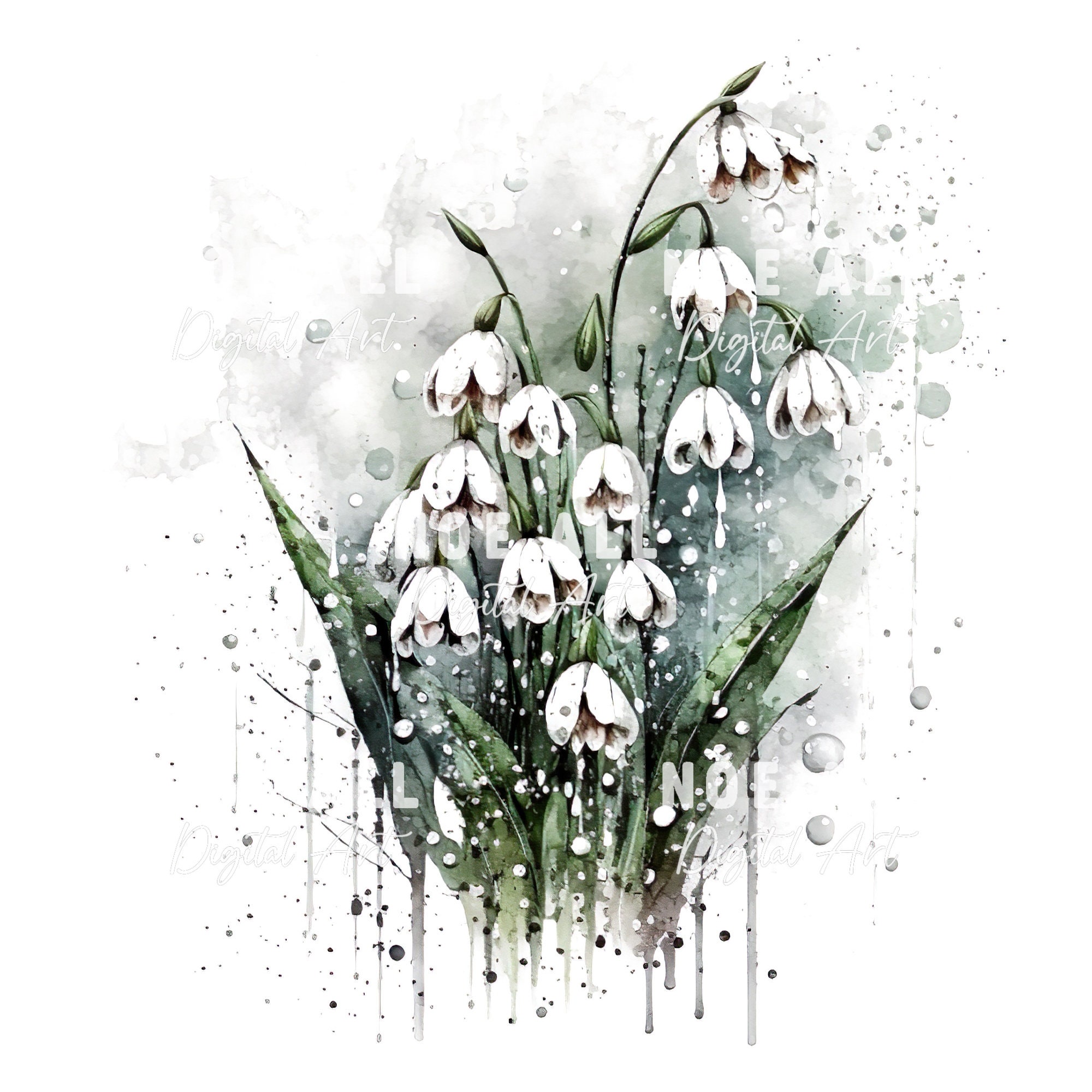 Snowdrop Clipart - Set 12 High Quality JPG - Decoupage, Wall Art ...