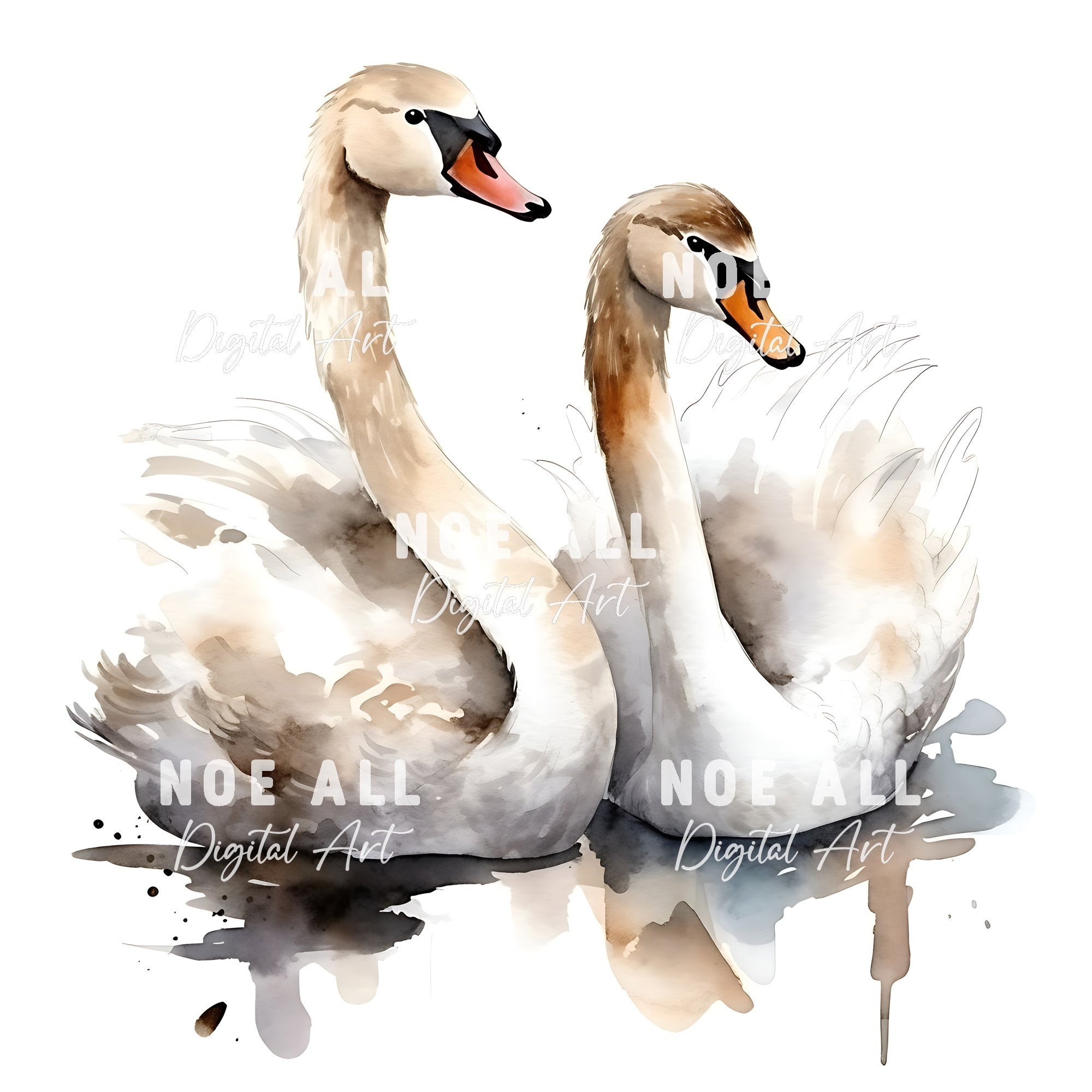 Swan Clipart Set of 12 High Quality JPG Decoupage, Wall Art, Scrapbook ...