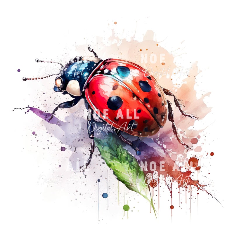 Ladybug Clipart Set of 12 High Quality JPG Decoupage, Wall Art ...