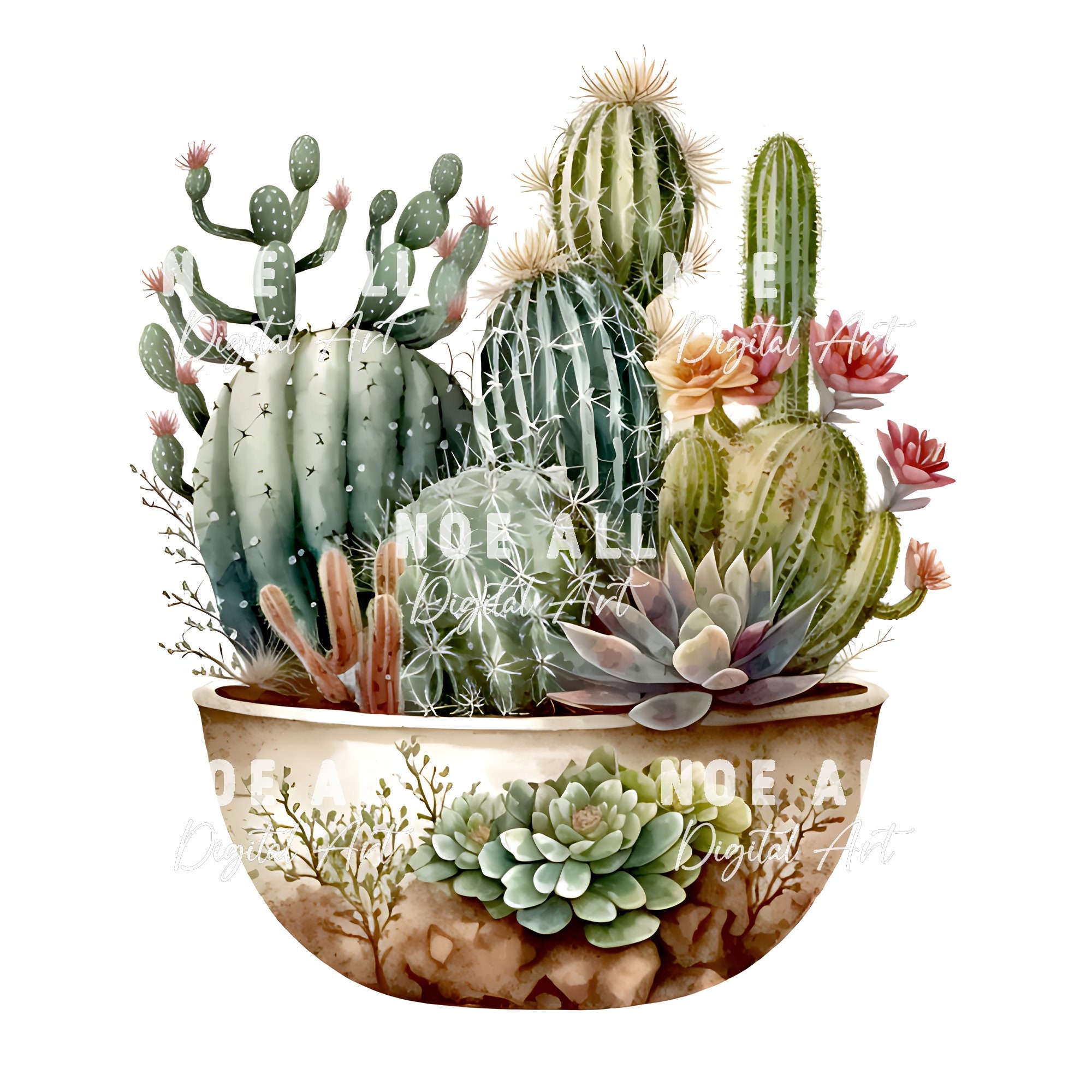 Potted Cacti Clipart Set of 12 High Quality JPG Decoupage, Wall Art ...