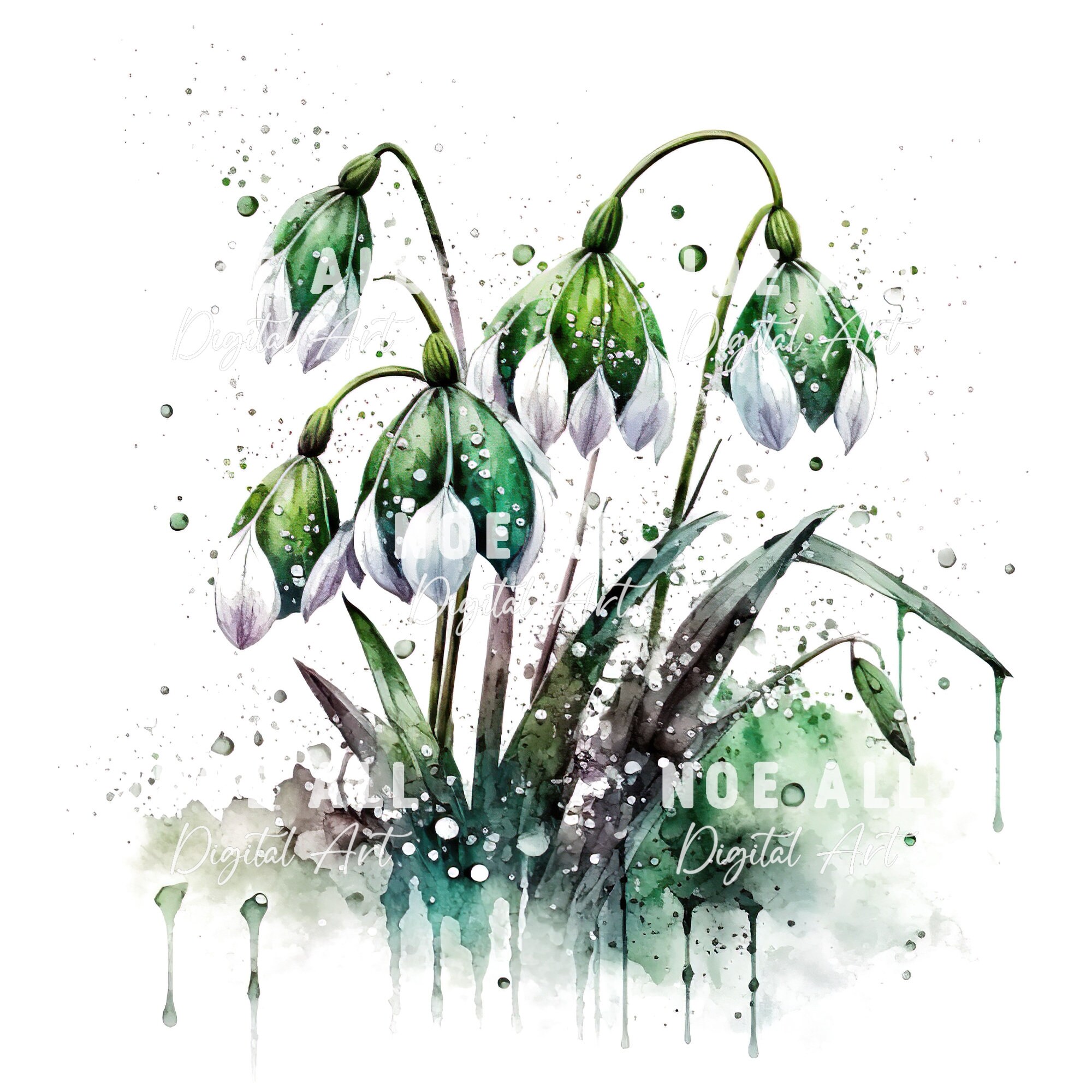 Snowdrop Clipart Set 12 High Quality JPG Decoupage, Wall Art, Scrapbook ...