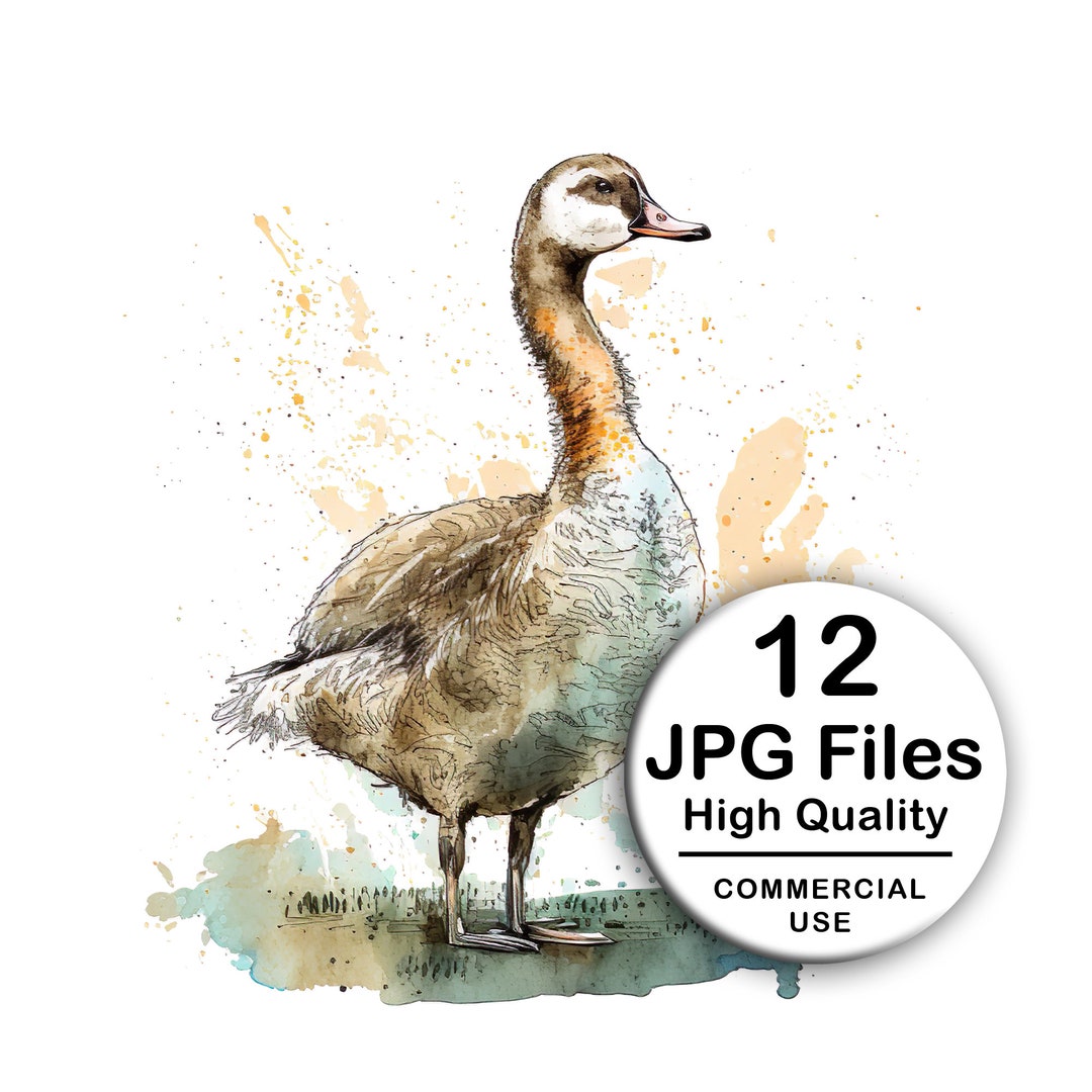 Silly Goose Clipart - Set of 12 High Quality JPG - Decoupage, Wall Art ...