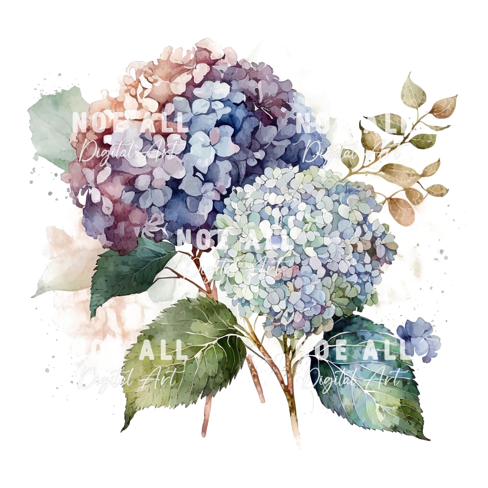 Hydrangea Clipart Set 12 High Quality JPG Decoupage, Wall Art ...