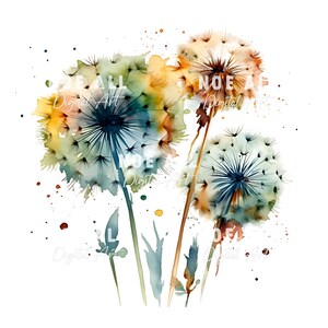 Dandelion Clipart - Set of 12 High Quality JPG - Decoupage, Wall Art ...