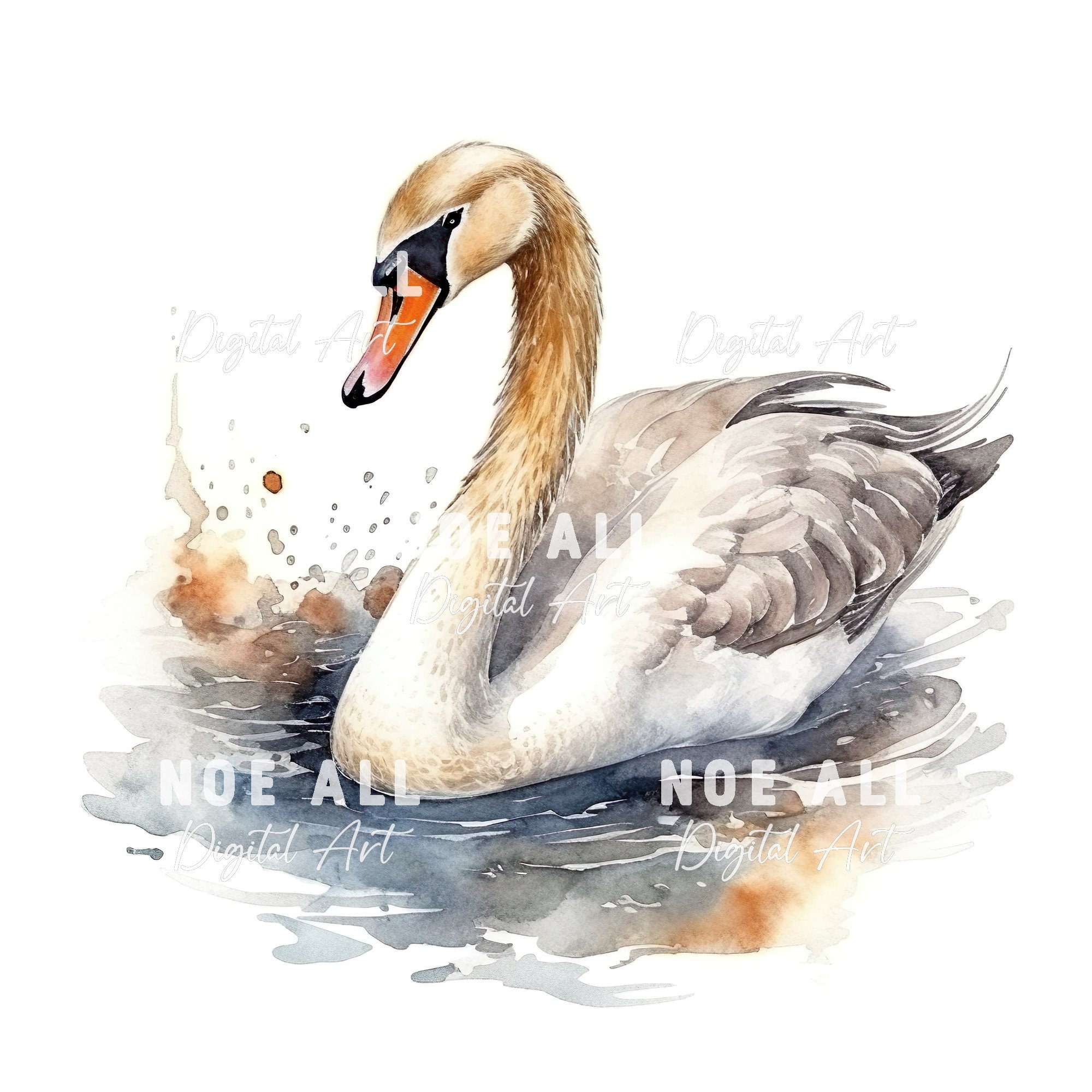 Swan Clipart Set of 12 High Quality JPG Decoupage, Wall Art, Scrapbook ...