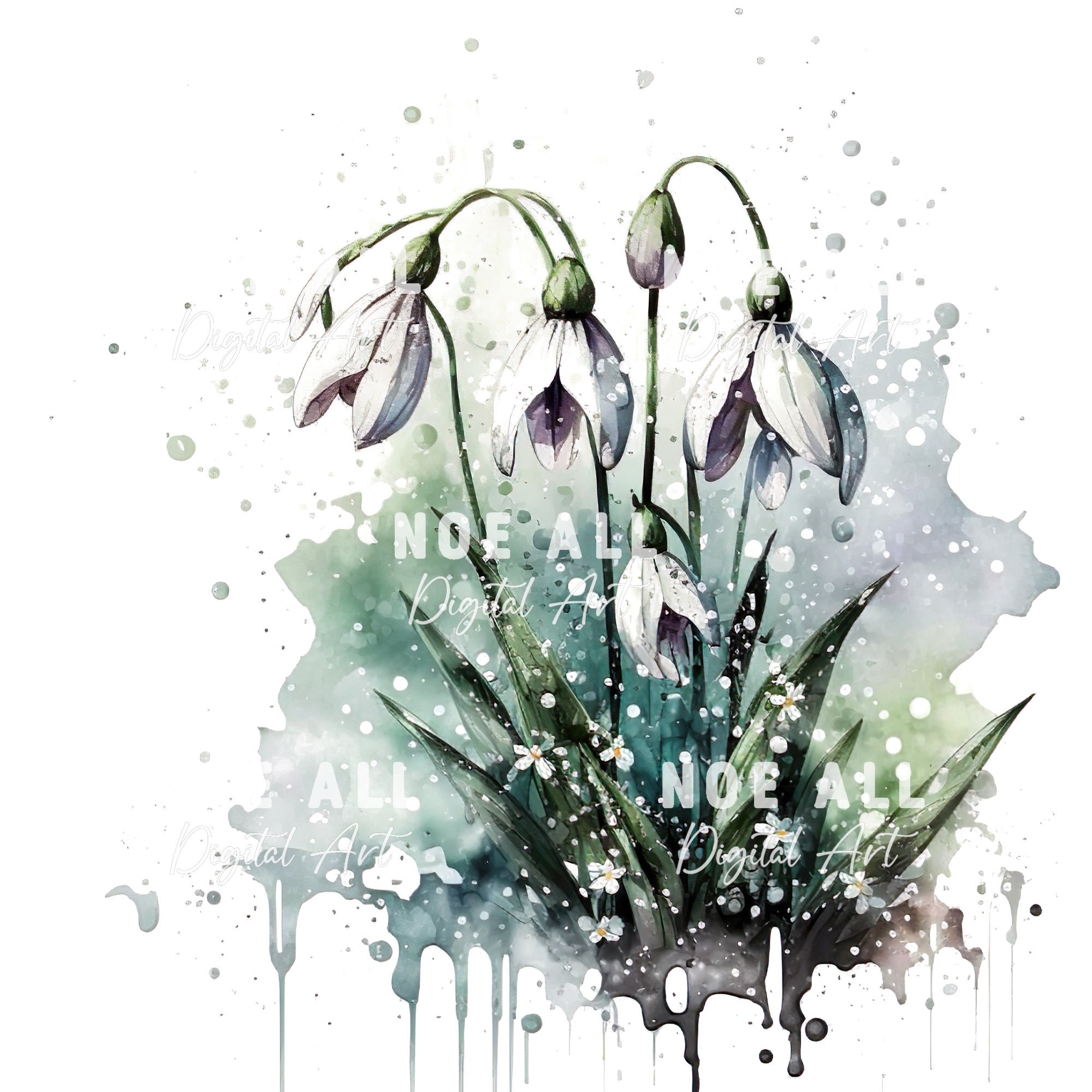 Snowdrop Clipart - Set 12 High Quality JPG - Decoupage, Wall Art ...