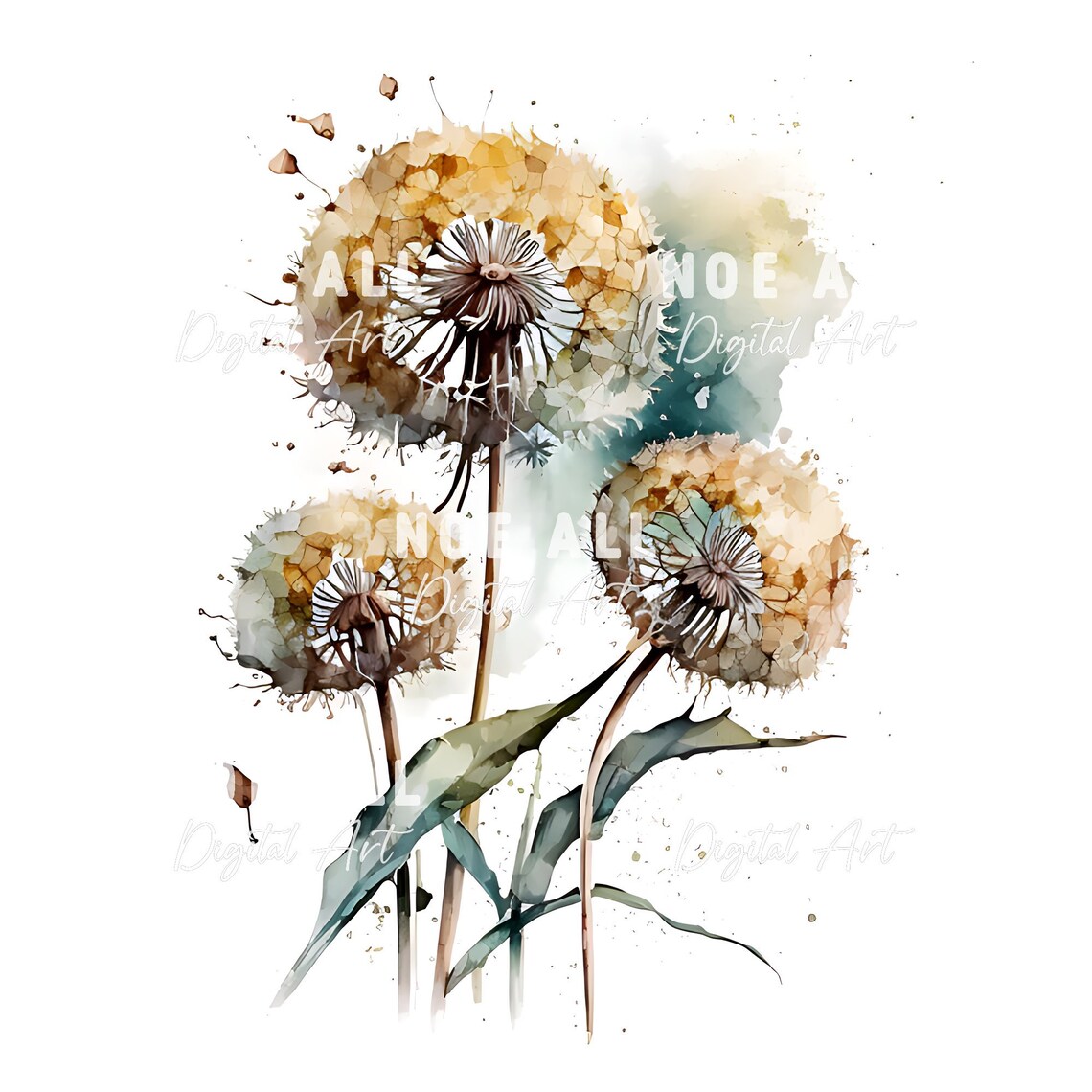 Dandelions Clipart - Set of 12 High Quality JPG - Decoupage, Wall Art ...