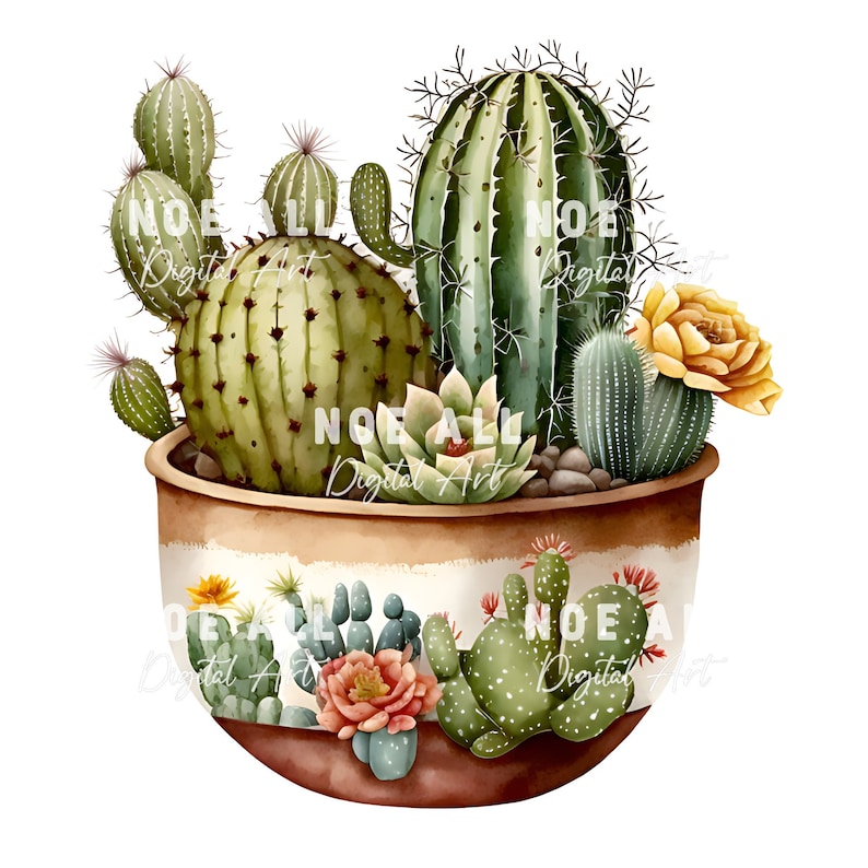 Potted Cacti Clipart Set of 12 High Quality JPG Decoupage, Wall Art ...