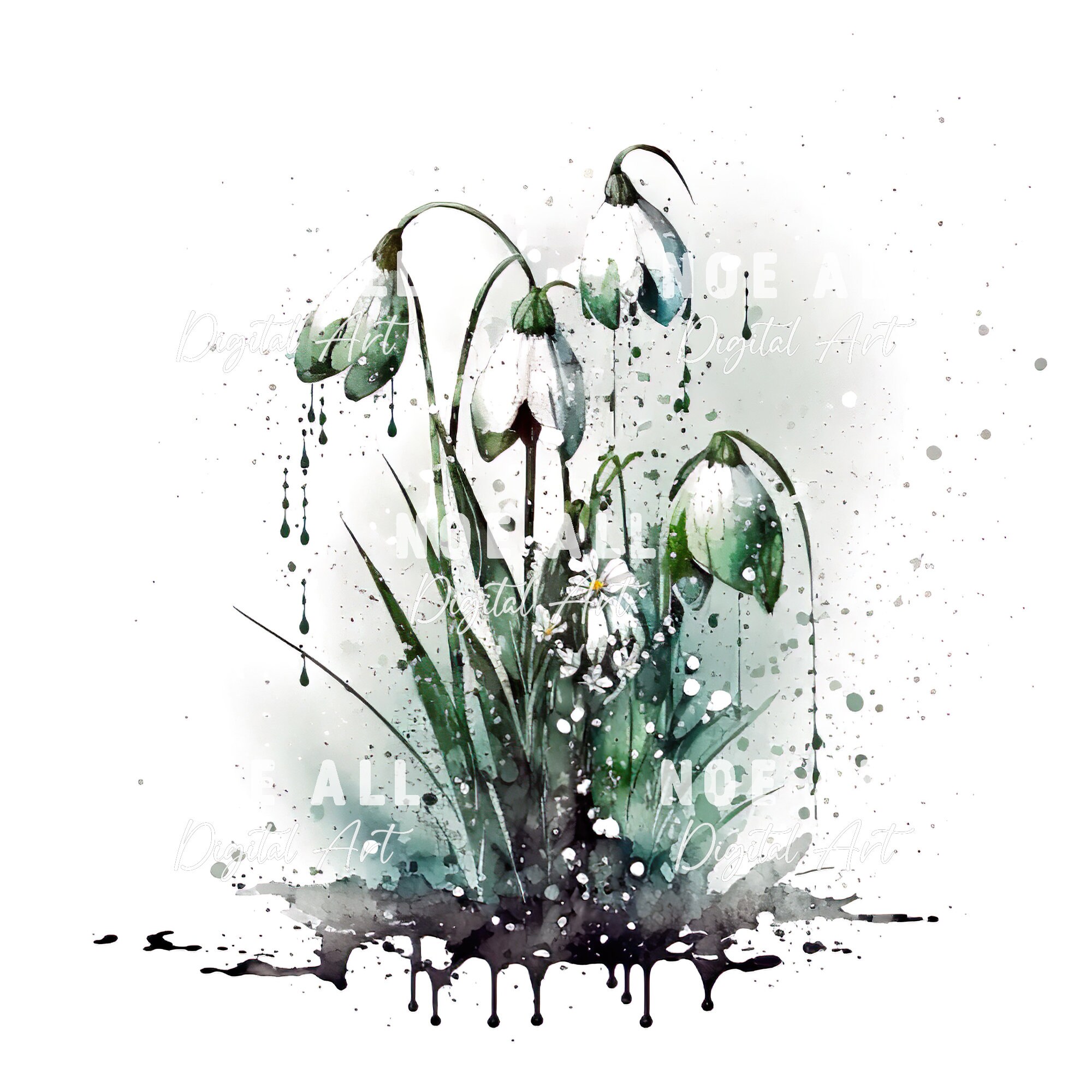 Snowdrop Clipart - Set 12 High Quality JPG - Decoupage, Wall Art ...