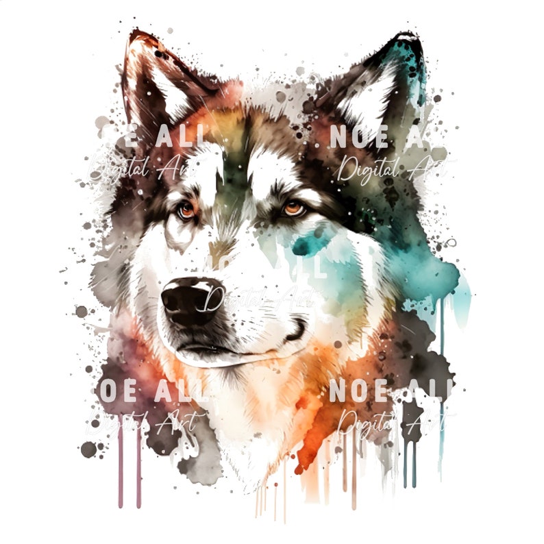 Alaskan Husky Clipart Set of 12 High Quality JPG Decoupage, Wall Art ...