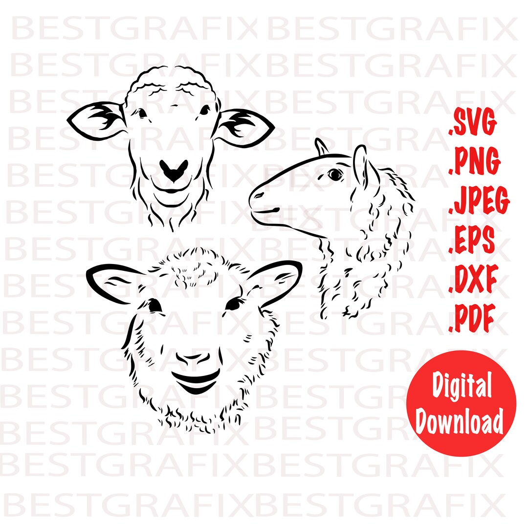 Sheep Face Line Art SVG Bundle,sheep Silhoutte Svg, Lamb Sheep Png ...
