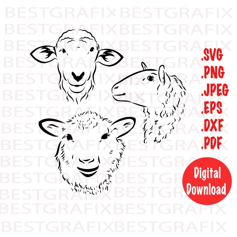 Sheep Face Line Art SVG Bundle,sheep Silhoutte Svg, Lamb Sheep Png ...