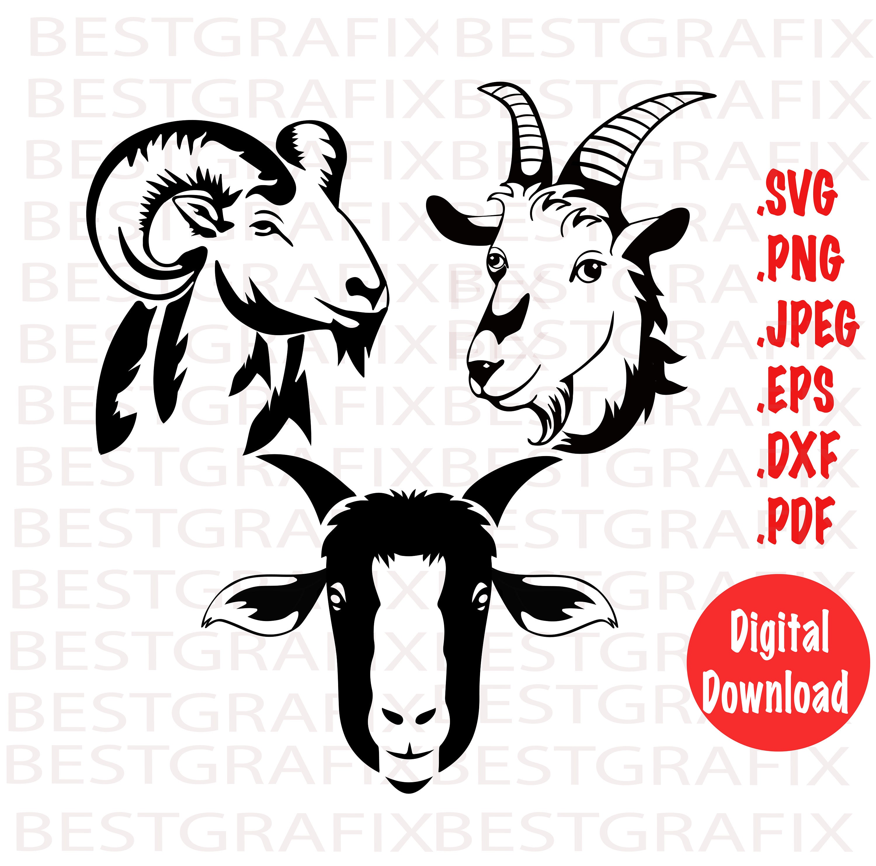 Goat Head SVG Bundle Goat Printable Vector Ram Silhouette, Cut File ...