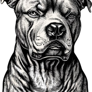 Pit Bull Drawings for Sublimation. Vol. 4 - Etsy