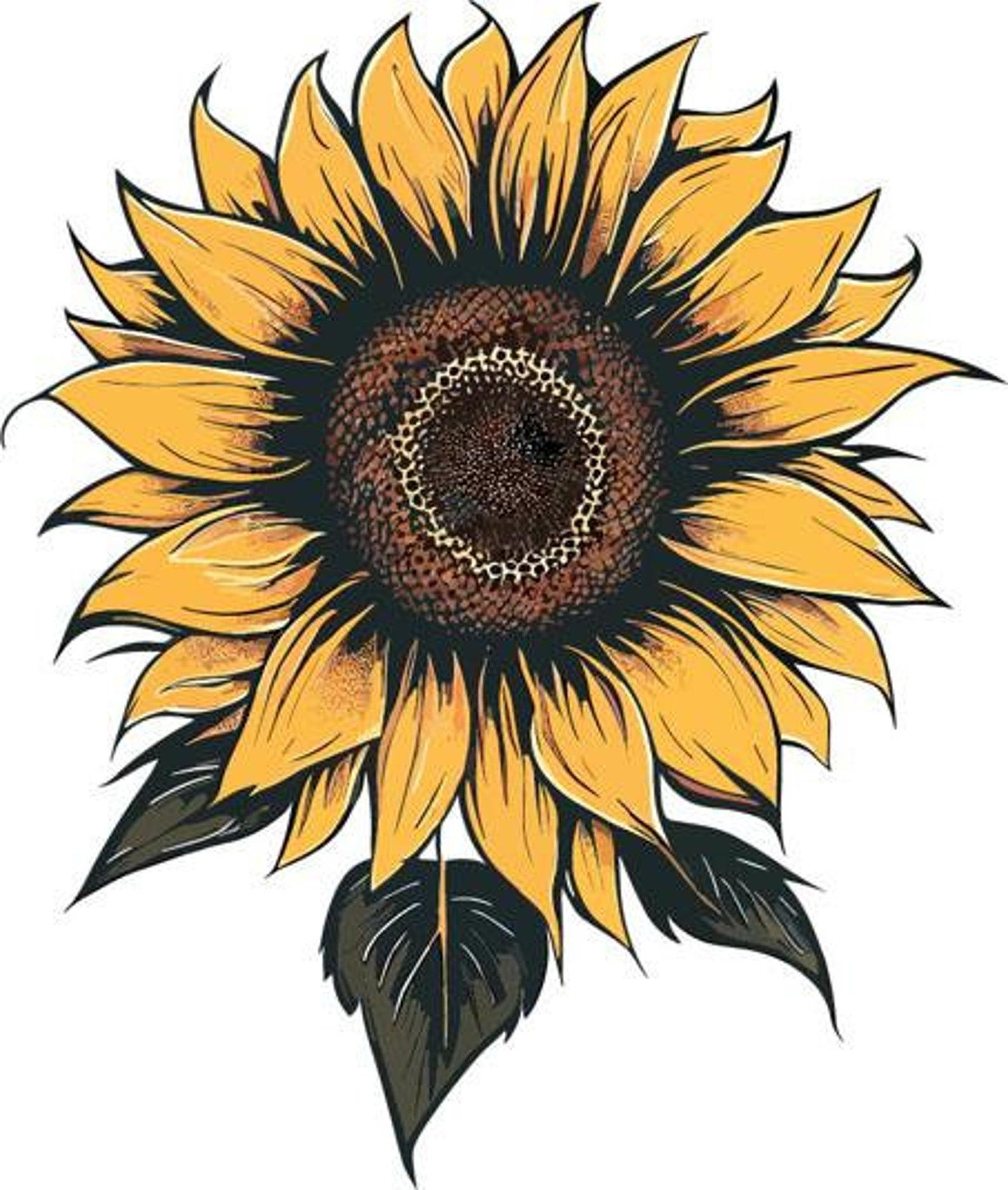 Sunflower SVG DIGITAL Files Bundle - Etsy