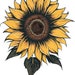Sunflower SVG DIGITAL Files Bundle - Etsy