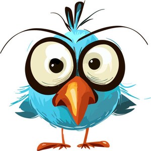 Funny Bird SVG File Bundle #2 - Sublimation - Etsy