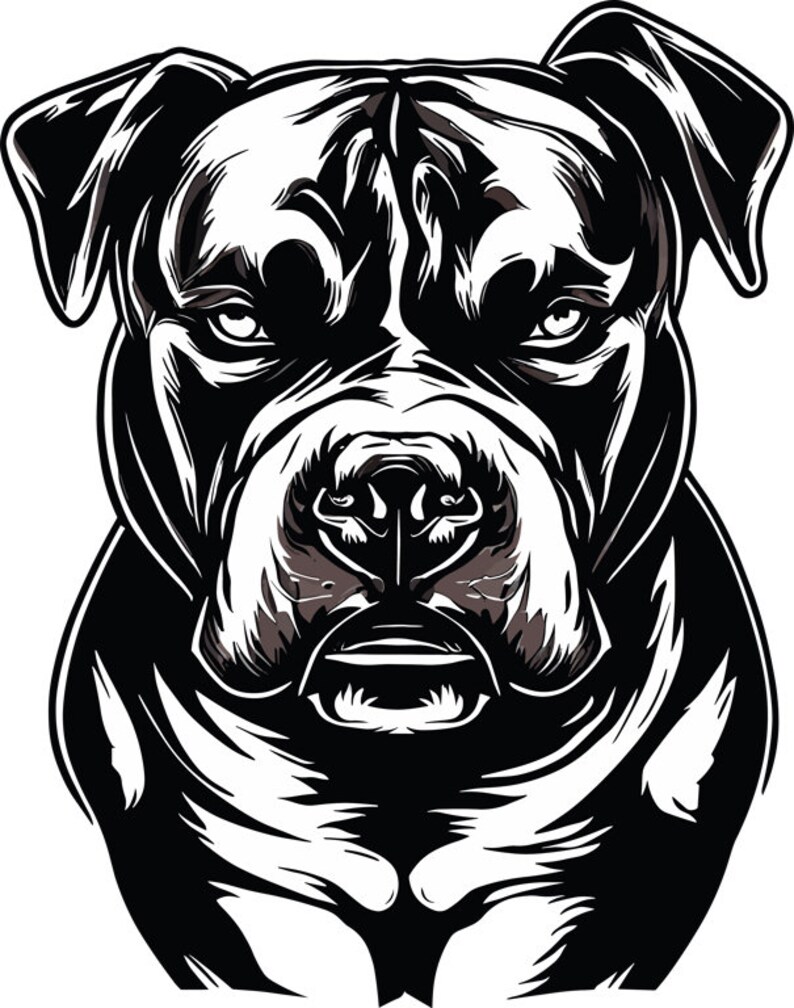 Pit Bull Drawings - Etsy