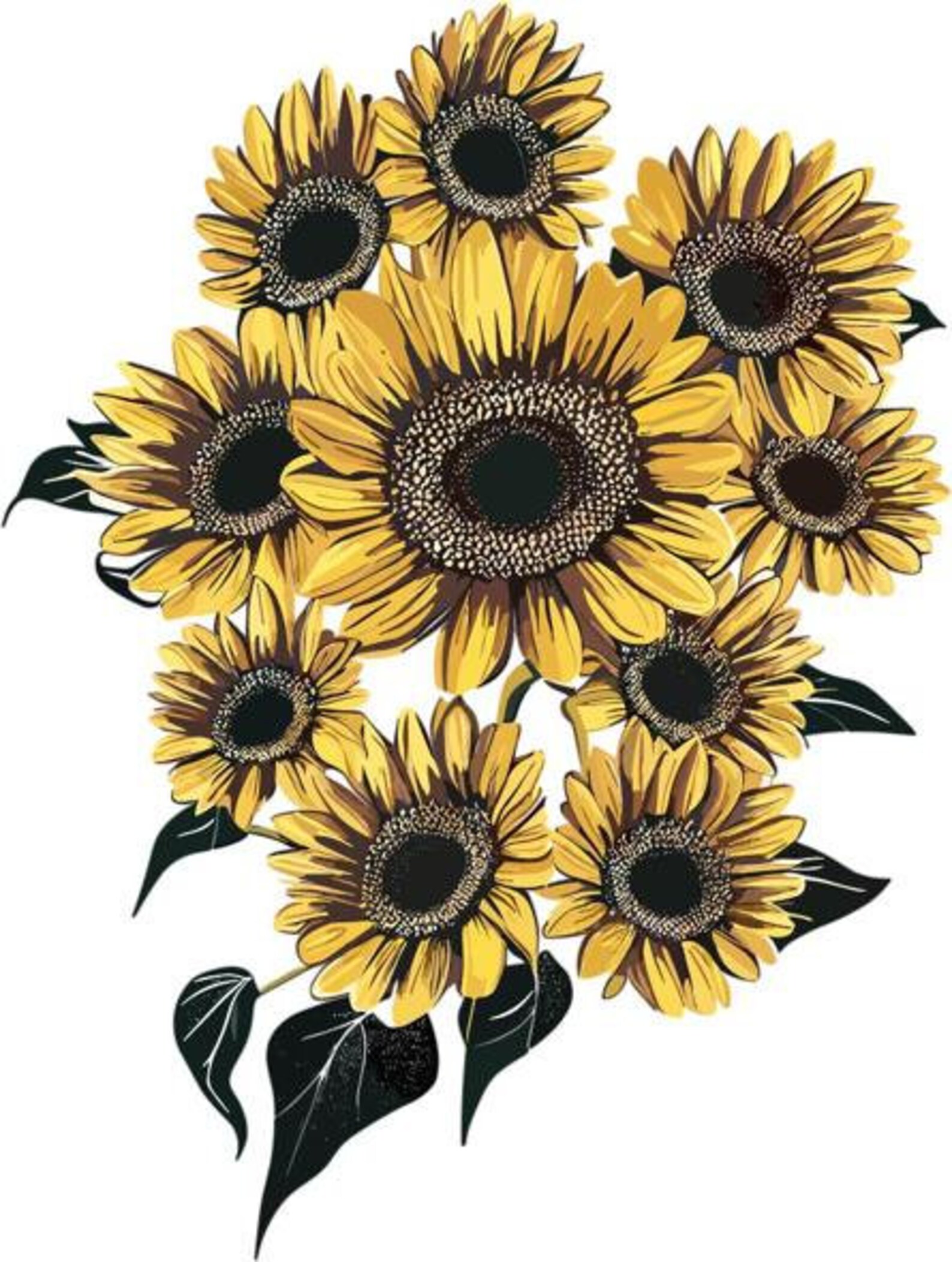 Sunflower SVG DIGITAL Files Bundle - Etsy