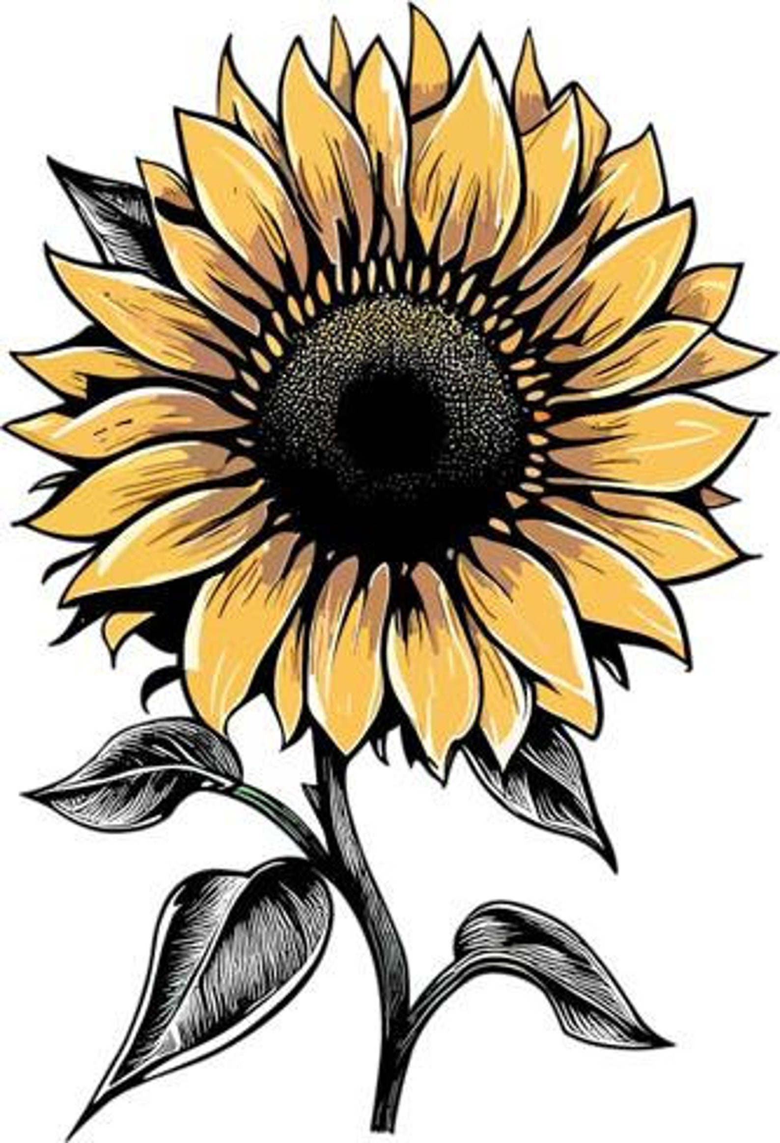 Sunflower SVG DIGITAL Files Bundle - Etsy