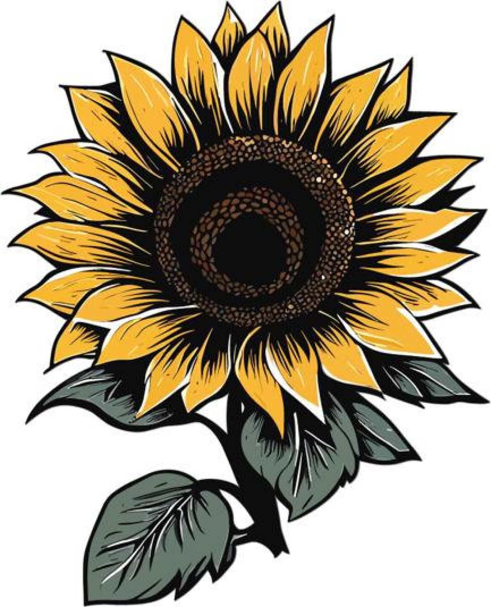 Sunflower SVG DIGITAL Files Bundle - Etsy