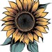 Sunflower SVG DIGITAL Files Bundle - Etsy