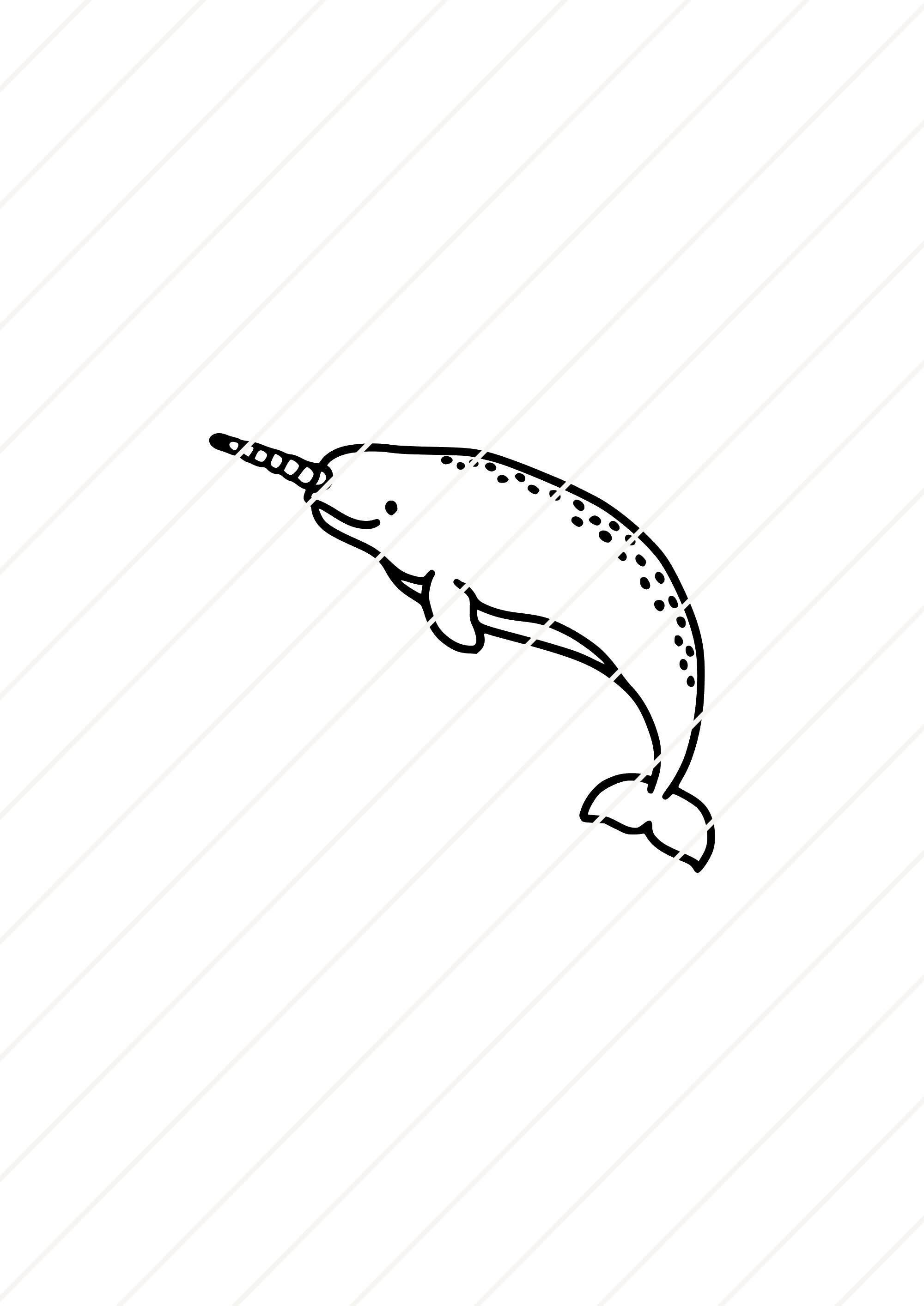 Narwhal Drawing