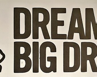 Peagle Texas Rangers City Connect Mascot Vinyl Outline Decals - Etsy