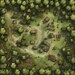 Forest Battle Map Bundle, 200+ Pack of High Detail Role Playing Maps ...