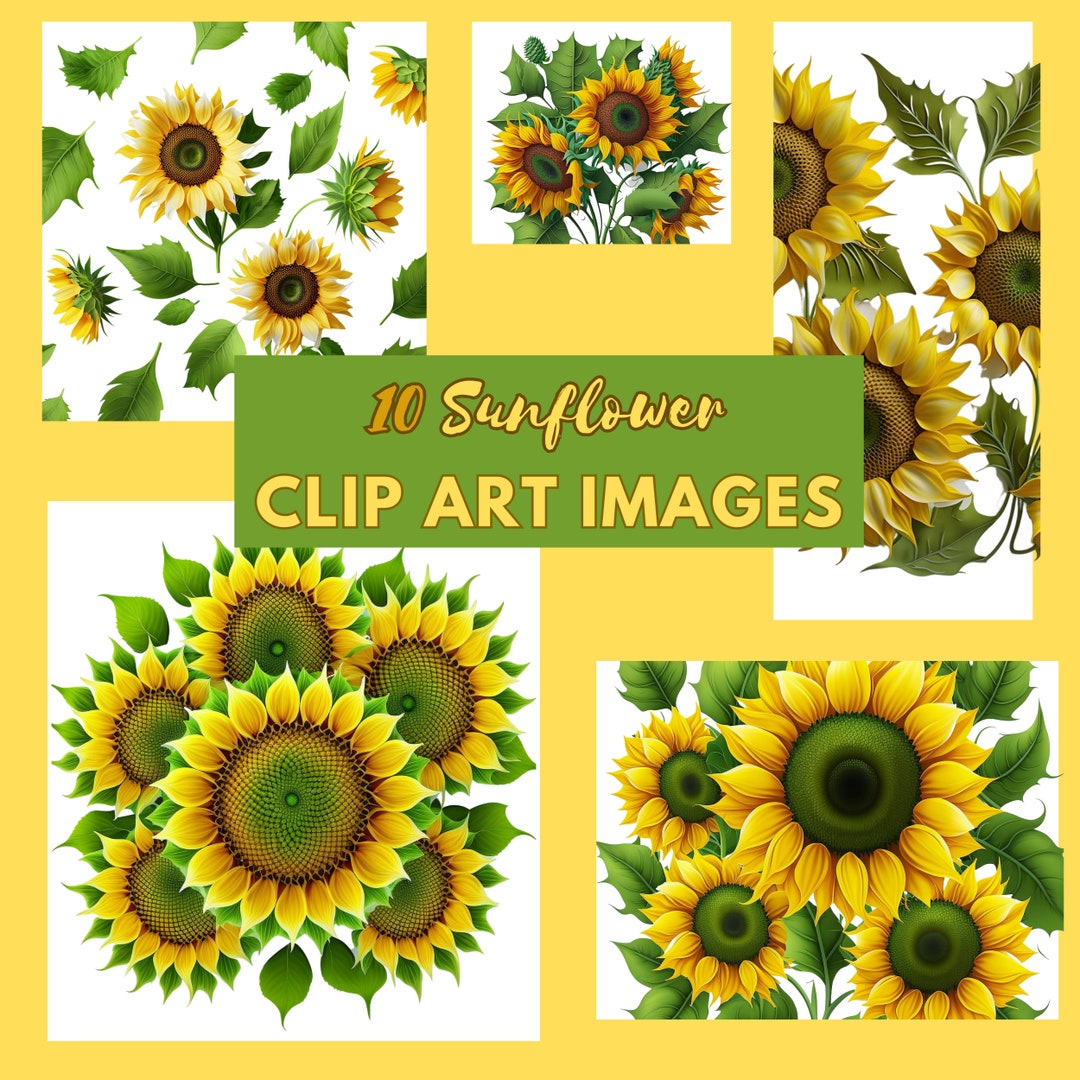 10 Sun Flower Clip Art Images, Transparent Back Ground Sun Flower ...