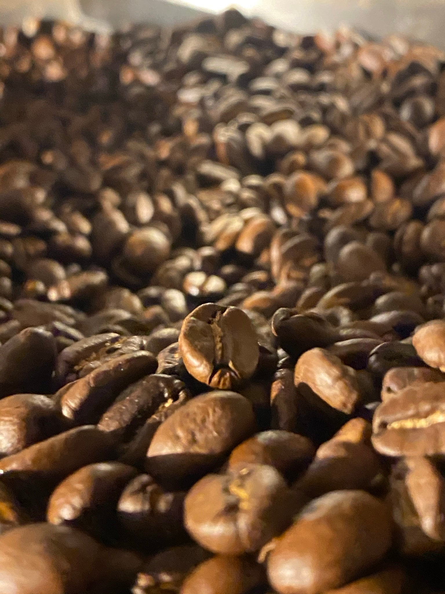 Fresh Roasted Coffee - Etsy