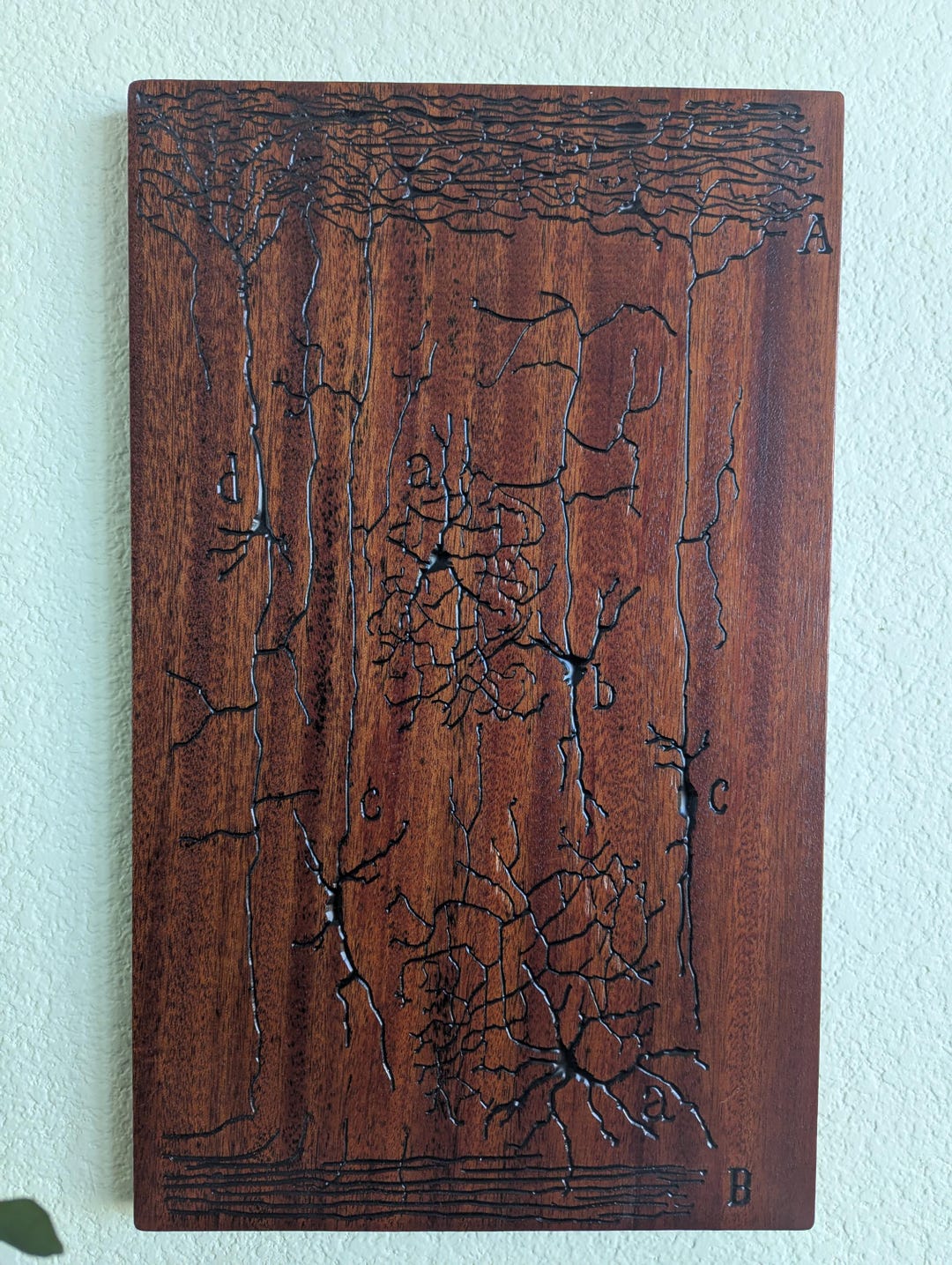 Wood Carving Adaptation of a Golgi Stain Drawing of Cortical Neurons by ...