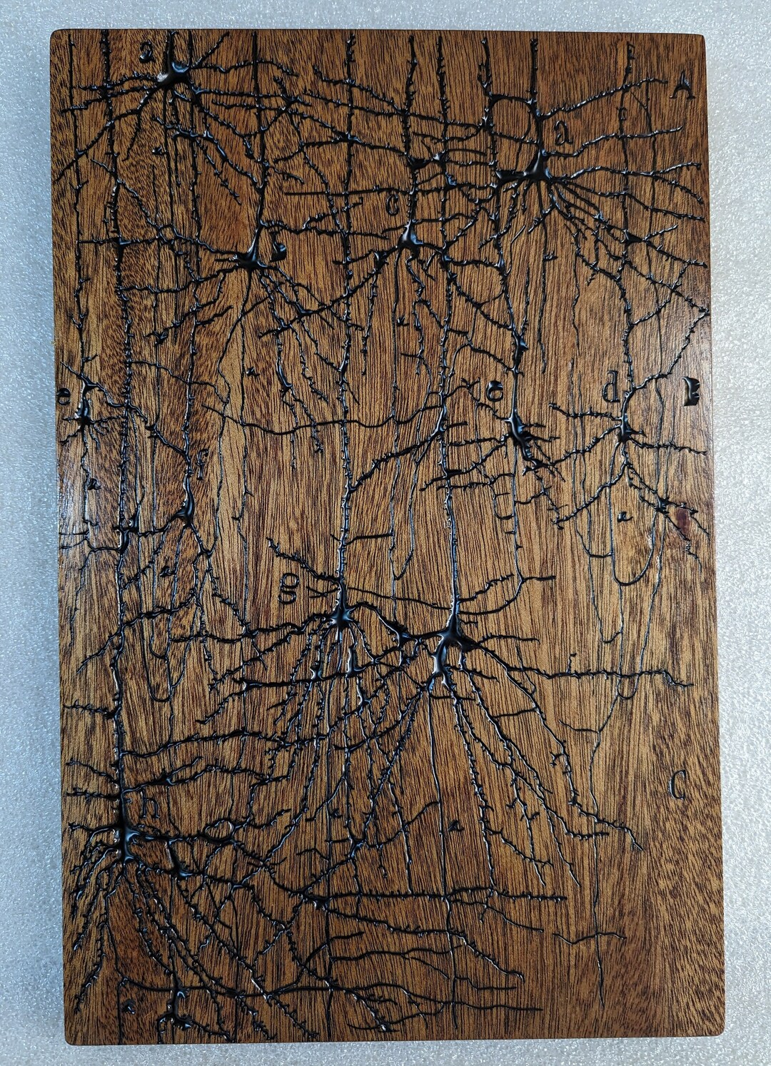 Wood Carving Adaptation of a Golgi Stain Drawing of Cortical Neurons by ...