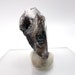 Greely Quartz Occurrence (osgoode Township, Ottawa, Ontario, Canada ...