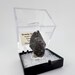 Greely Quartz Occurrence (osgoode Township, Ottawa, Ontario, Canada ...