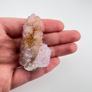 Spirit cactus Quartz Crystal Specimen mpumalanga, South Africa 35g - Etsy