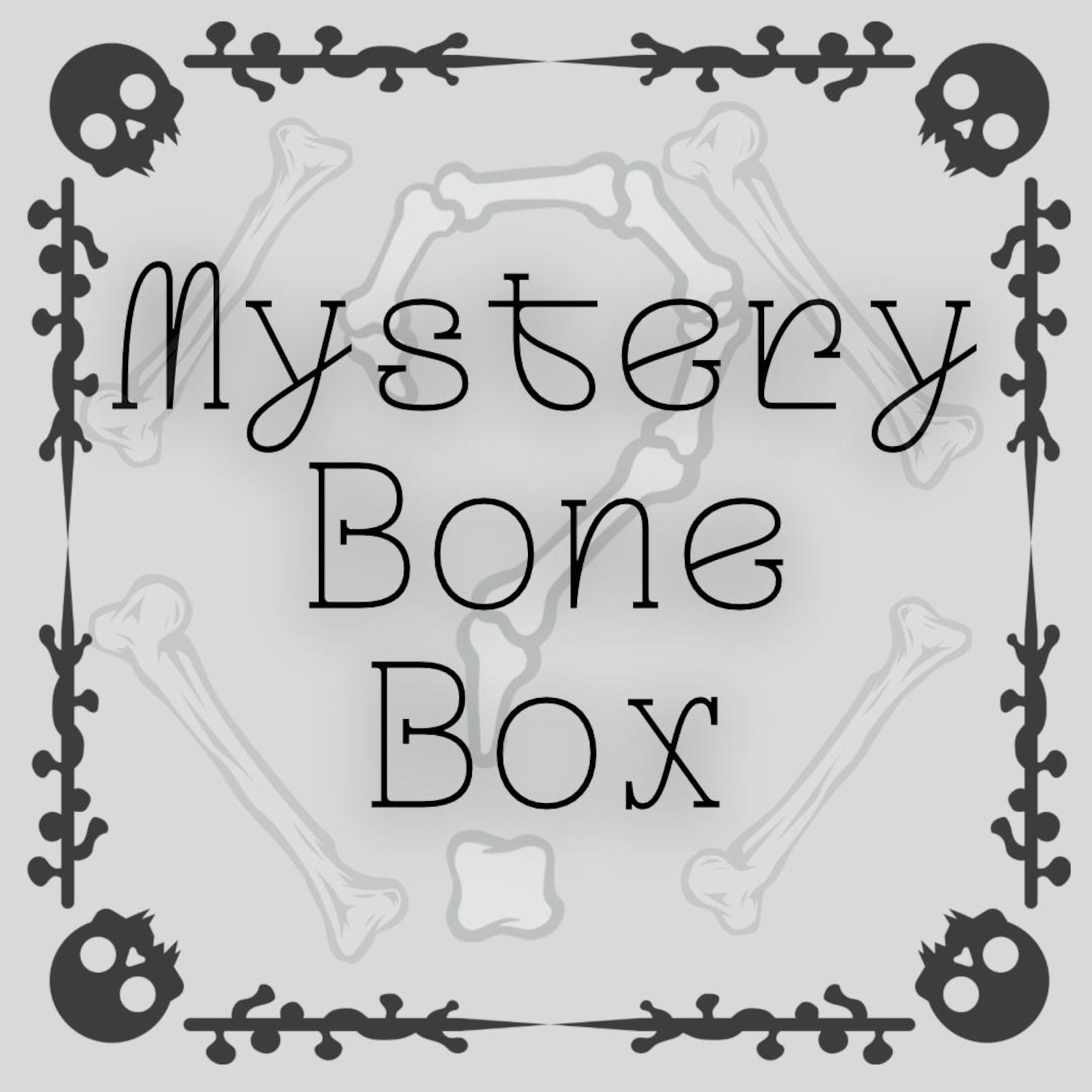 Mystery Bones - Curated Animal Bones and Oddities - Bone Collection ...