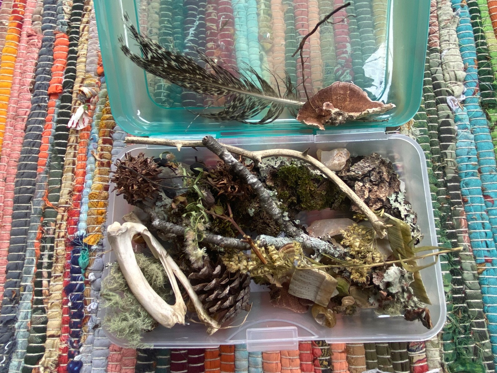 Forest Findings Box - Etsy