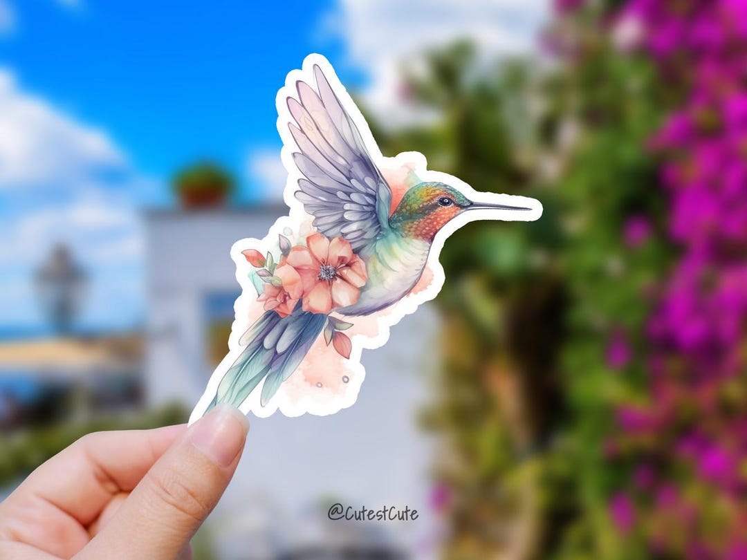 Cute Hummingbird Sticker Vinyl, Flowers, Funny Hummingbird Sticker for ...
